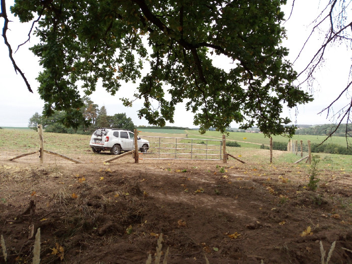 Oplocení proti divokým prasatům :: Agroplot
